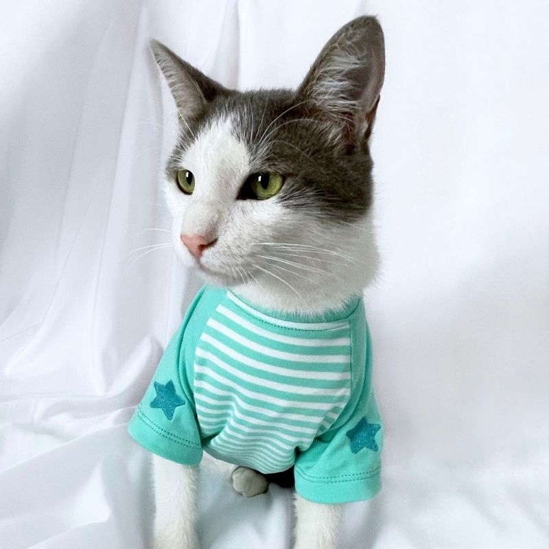 Ripley - POLO PARA MASCOTA LITTLE STAR TALLA 5