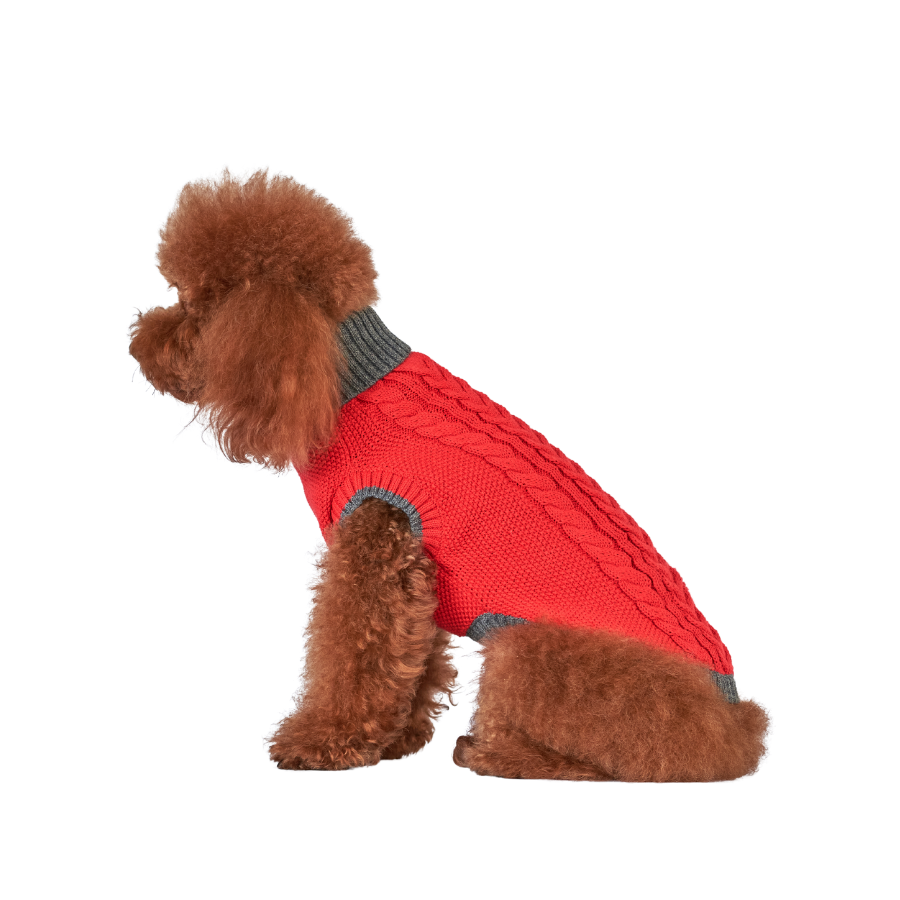 Ripley - CHOMPA PERRO KIKUPET COLOR ROJO