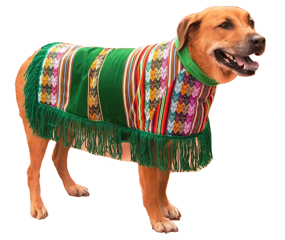 Ripley - PONCHO PERRO INKADOG ANDINO TALLA 2(S)