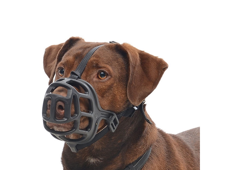Bozal perro | Ripley Perú