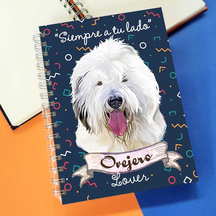 Agendas, Planners y Papelería | Regalos y Papelería | Ripley Perú